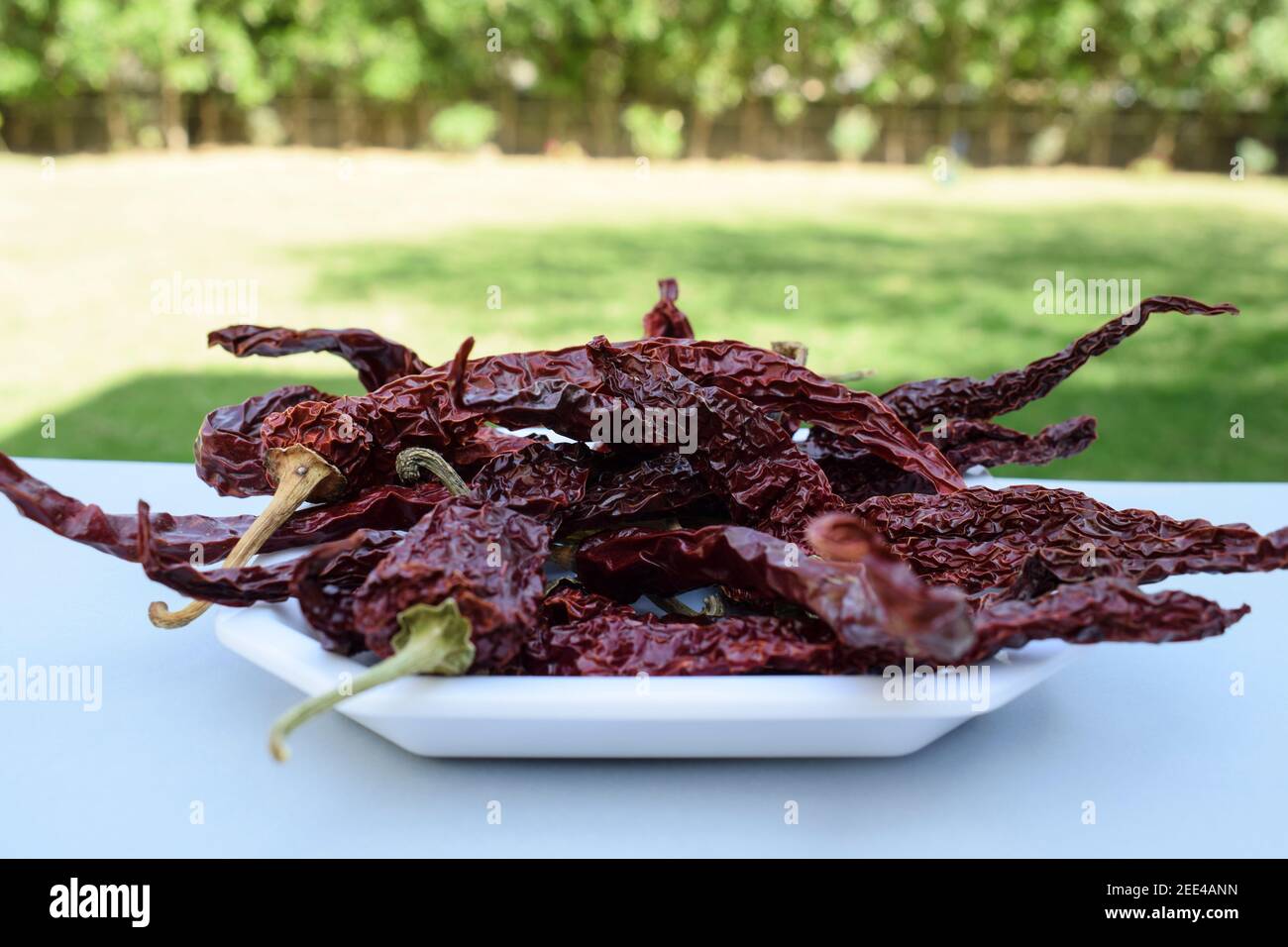 Dried red chillies from Asia. Indian Spicy dry red chilly paprika ...