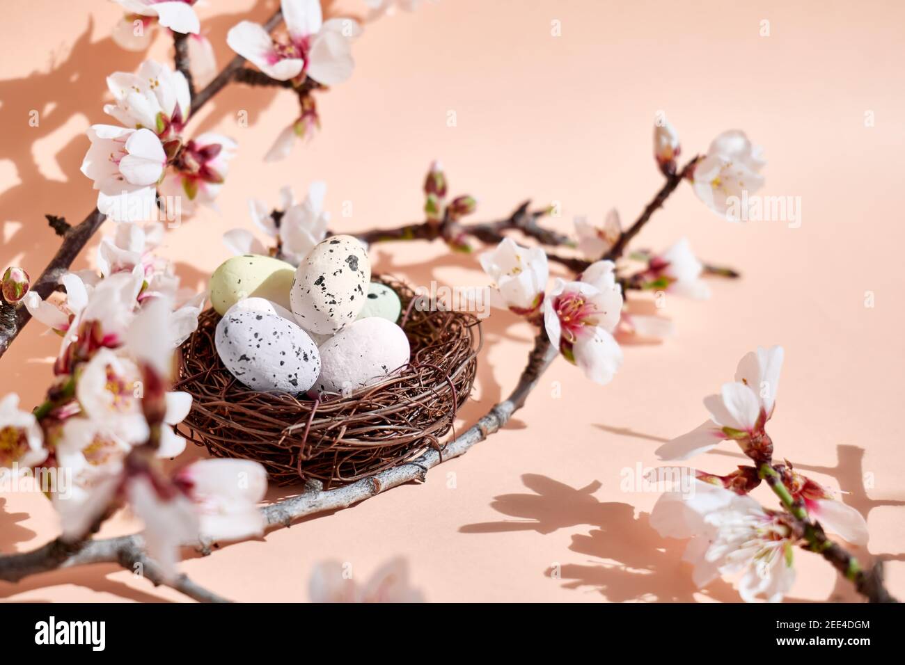 Stylish easter eggs with spring sprigs and feathers in the nest on ...