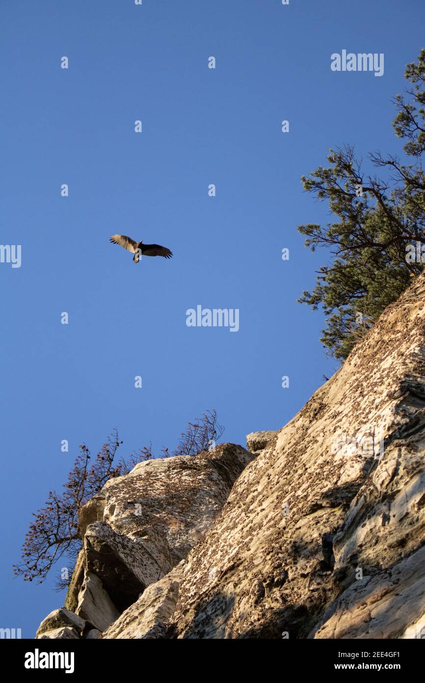 Climbing over ledge hi-res stock photography and images - Alamy