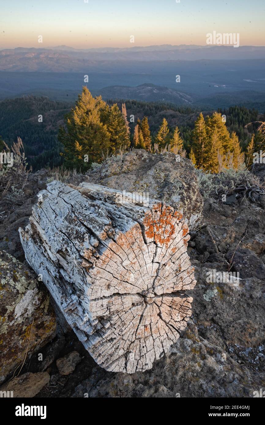 Weathered and old wood log on background of a boundless mountain range ...