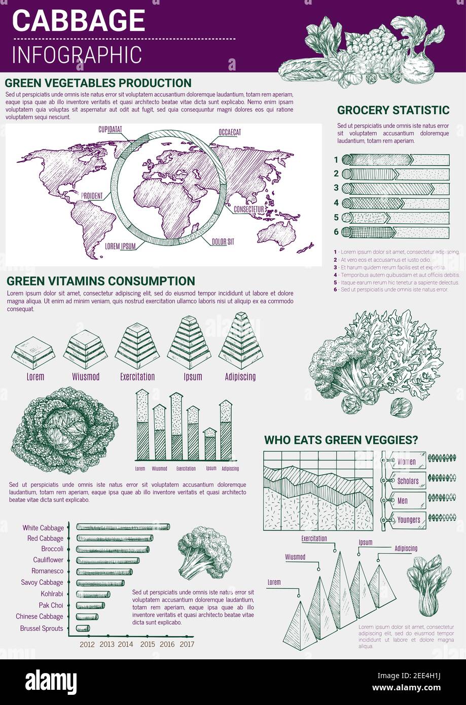 Cabbage vegetables vector sketch infographic. Graph and diagram ...
