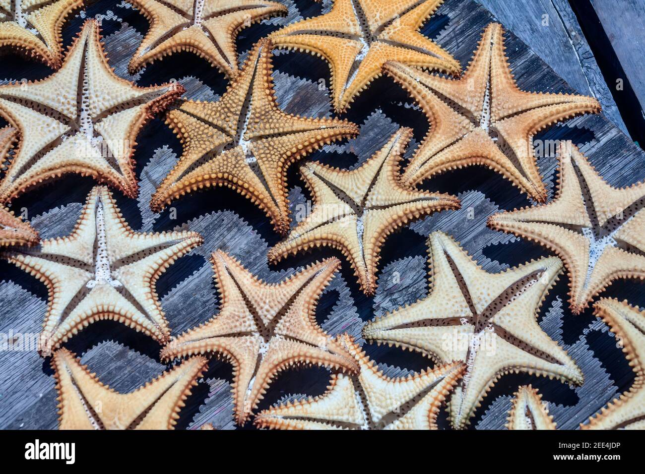 Dried ocean hi-res stock photography and images - Alamy