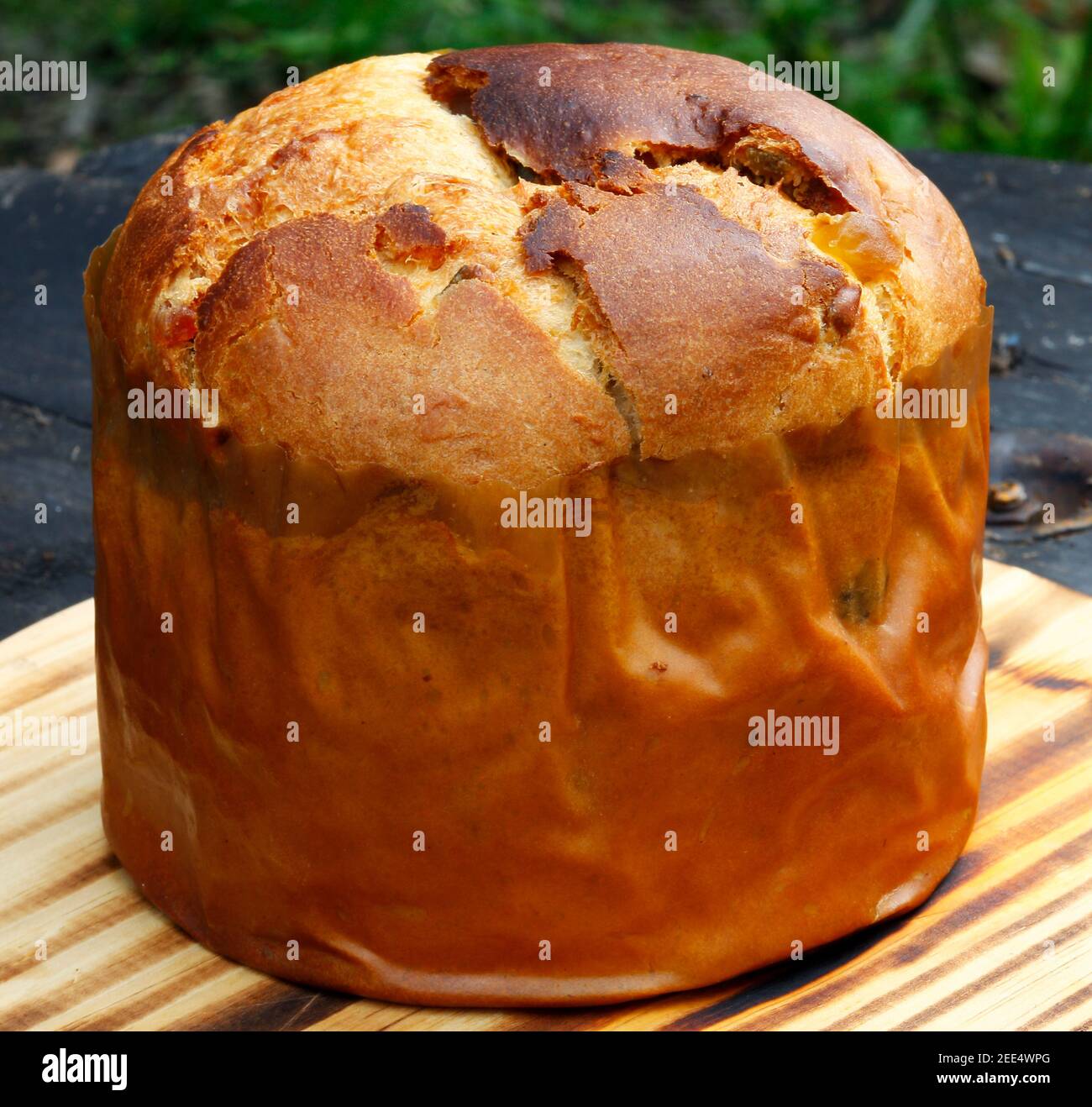Panettone with dried fruits Stock Photo - Alamy