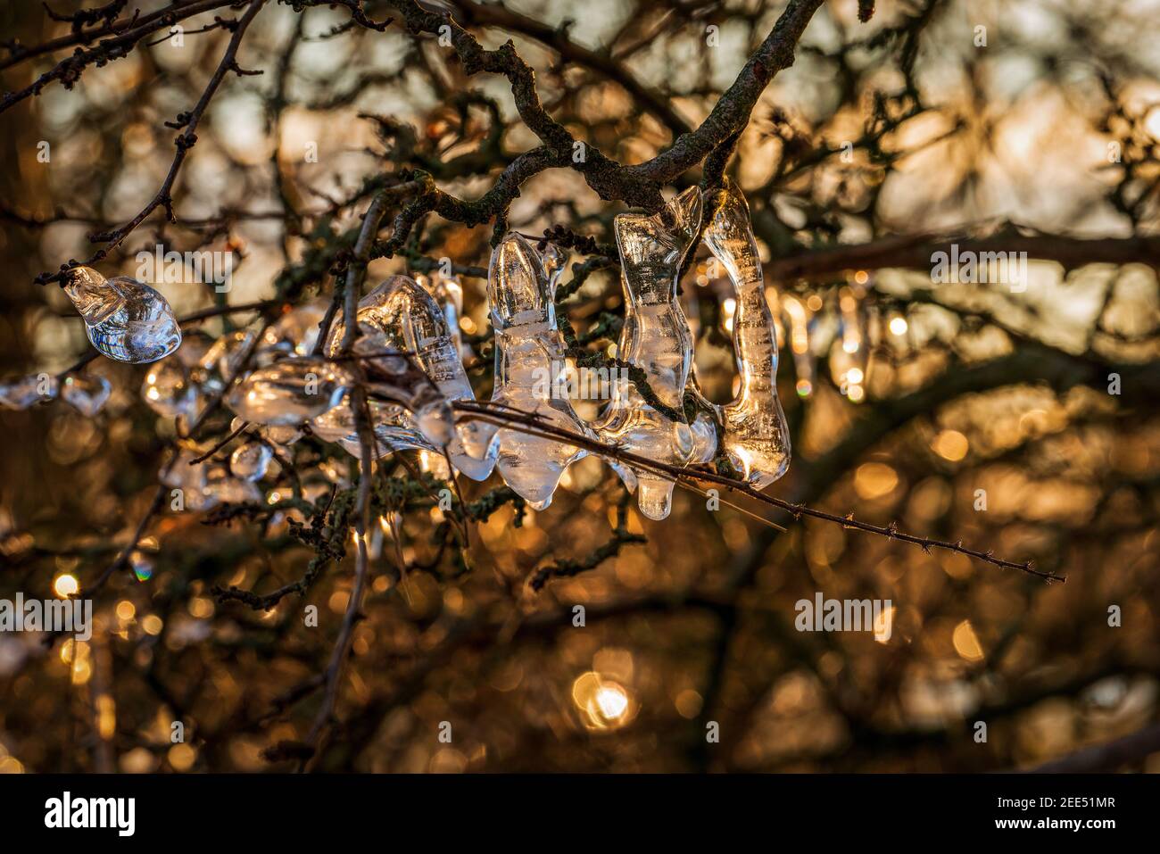 icicles illuminated with sun rays Stock Photo - Alamy