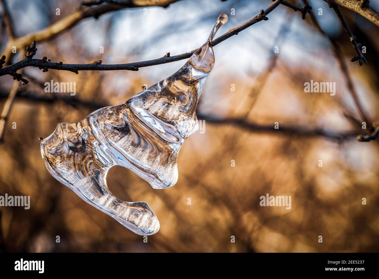 icicles colored by sunlight Stock Photo - Alamy