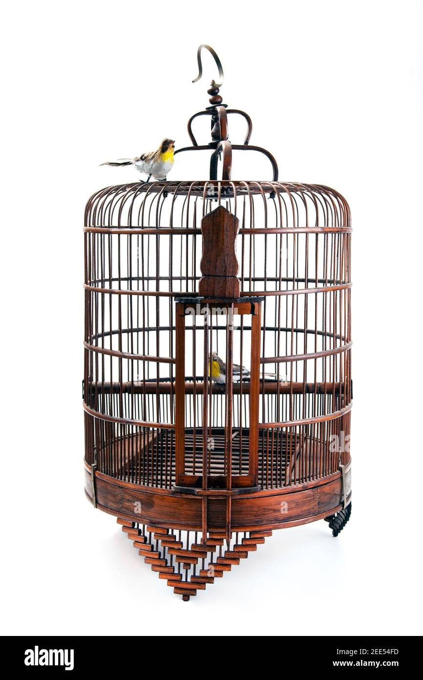 Wood bird cage Stock Photo - Alamy