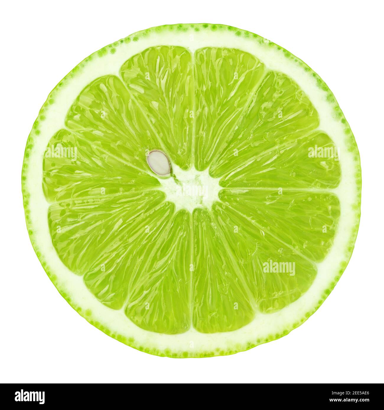 Top view of textured ripe green slice of lime citrus fruit isolated on ...