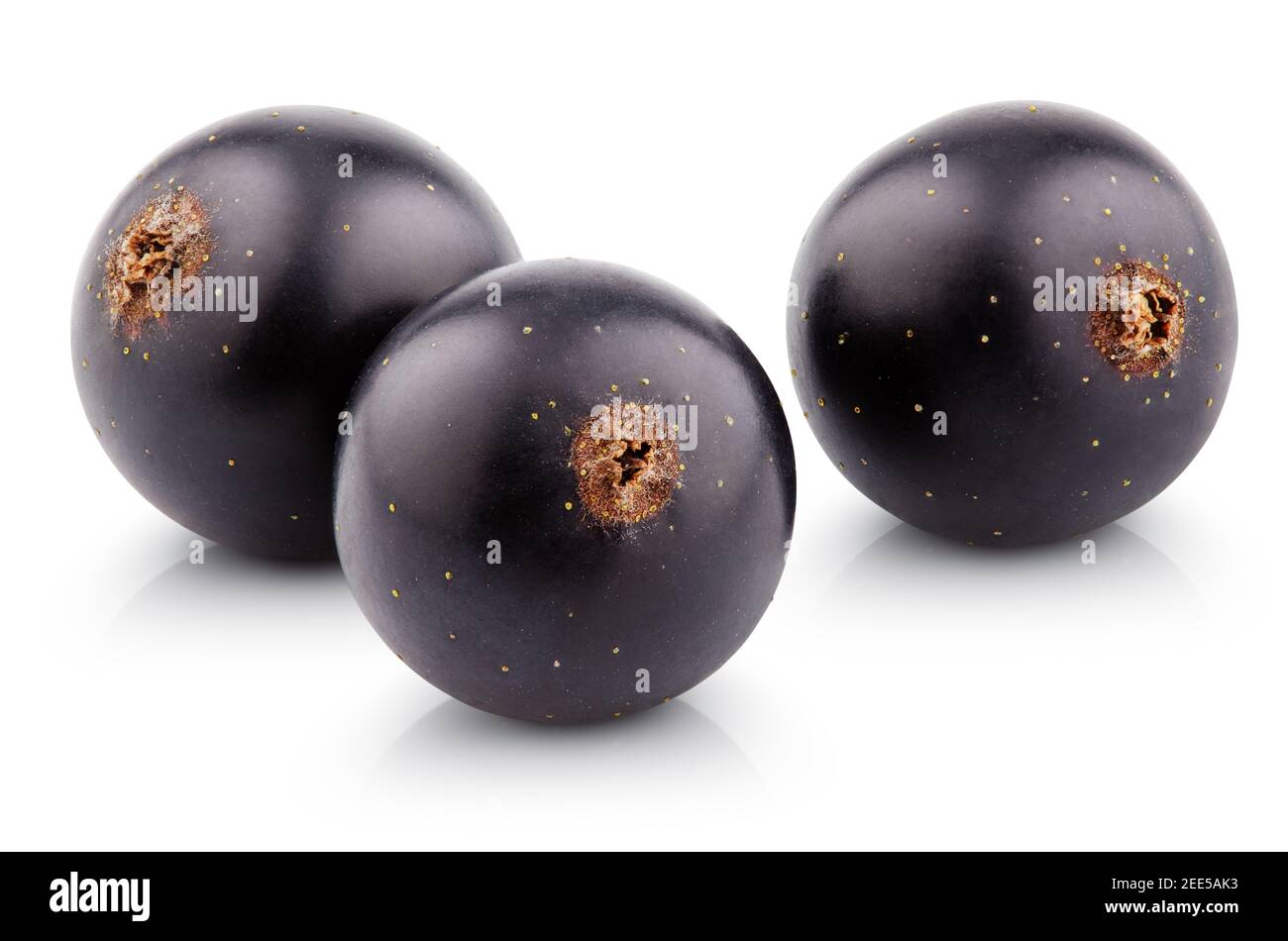 Black currant berry isolated on white with clipping path Stock Photo ...