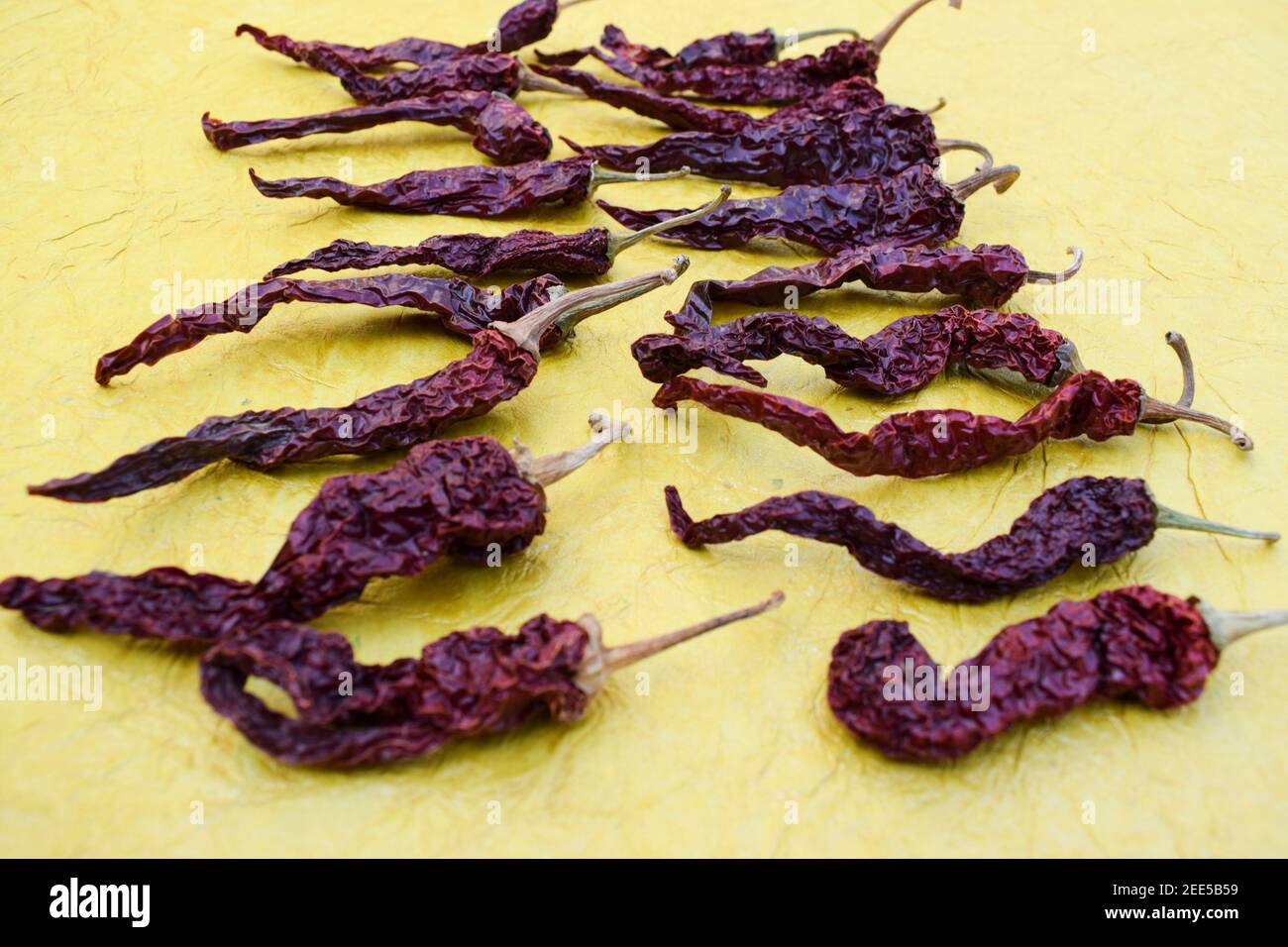 Kashmiri sundried chillies hi-res stock photography and images - Alamy
