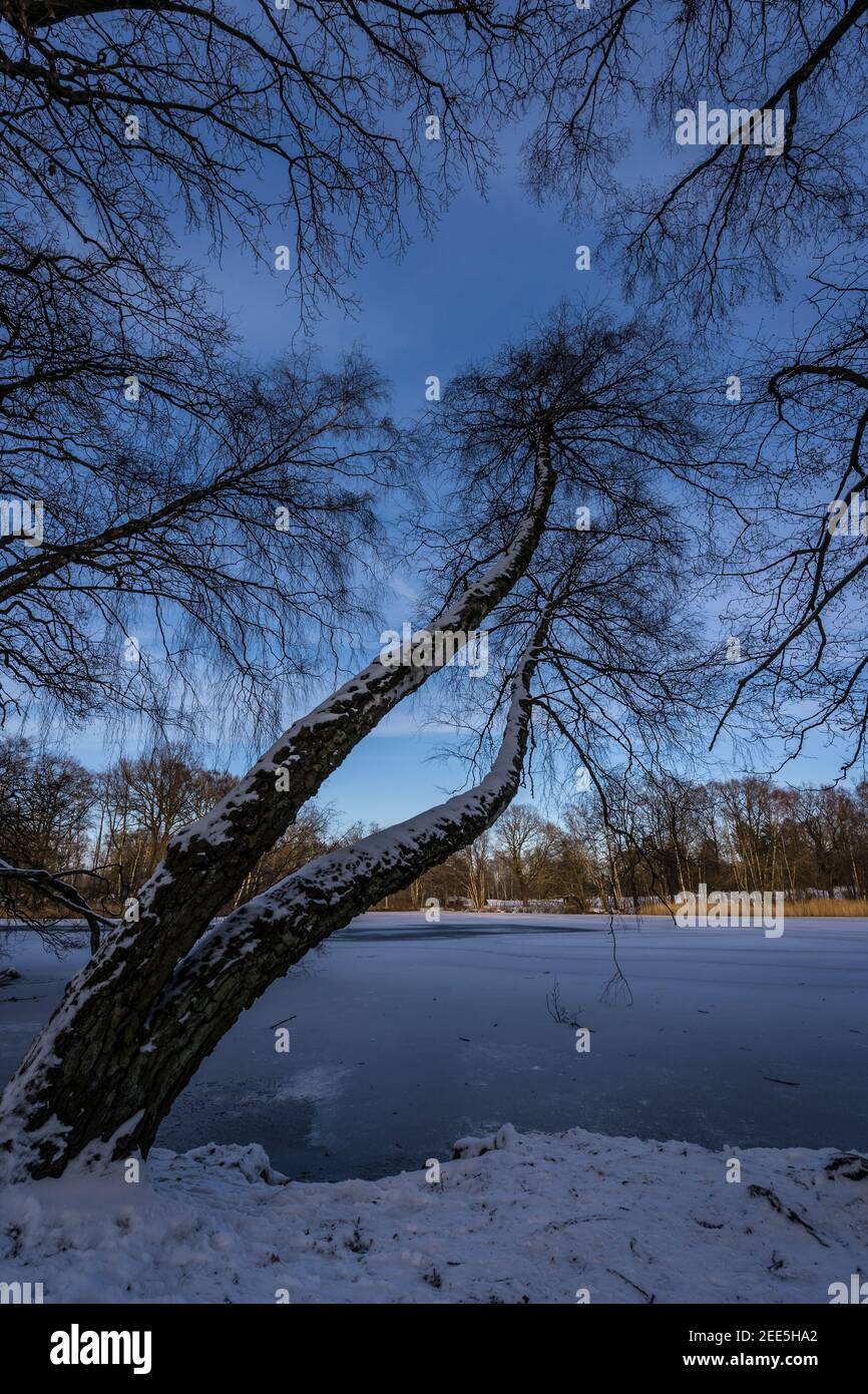 frozen lake in winter Stock Photo - Alamy