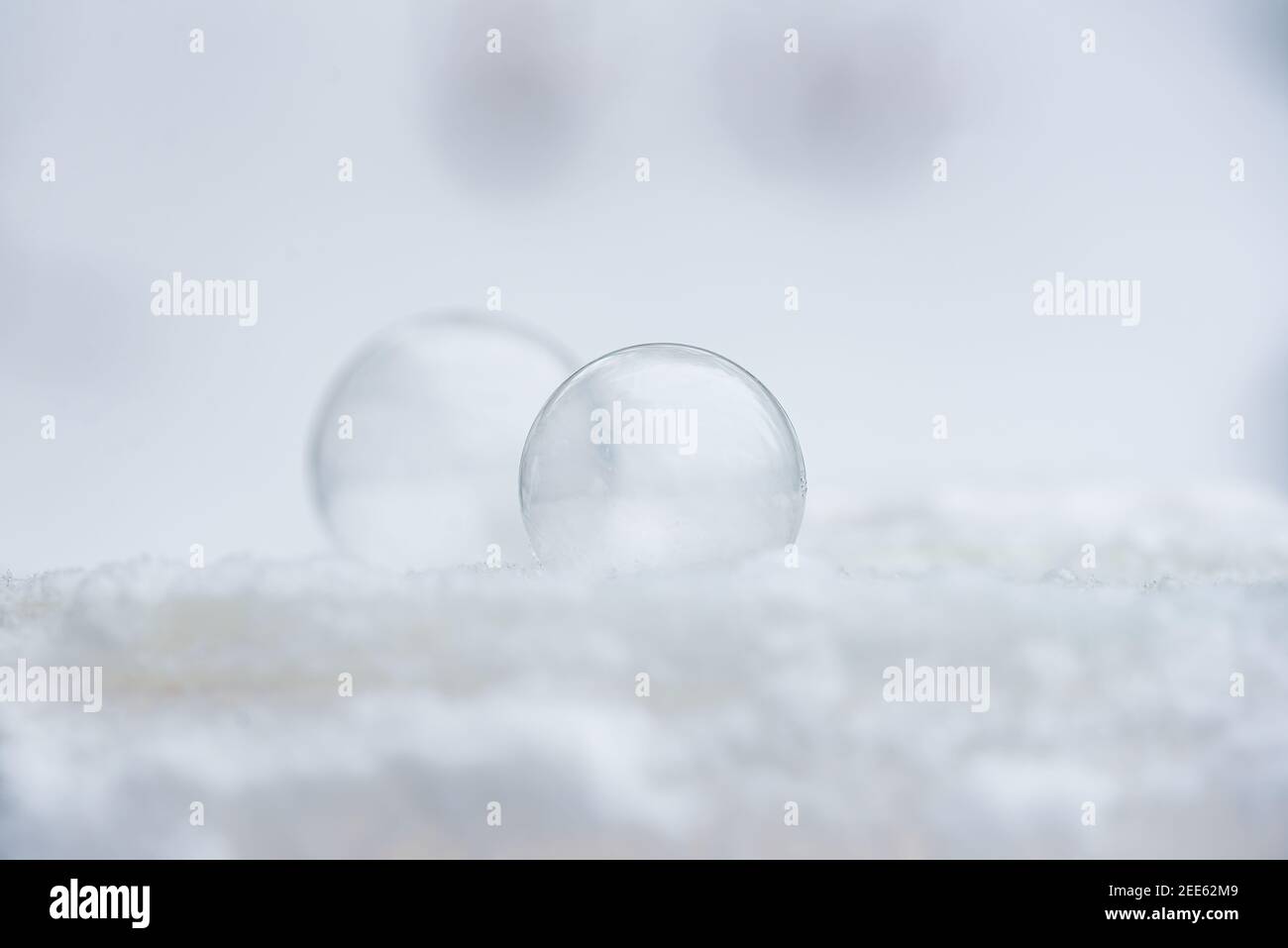 Two frozen soap bubbles freezing of low temperature under zero on snow ...