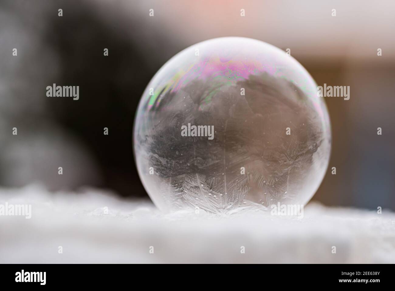 Soap bubble on white hi-res stock photography and images - Alamy