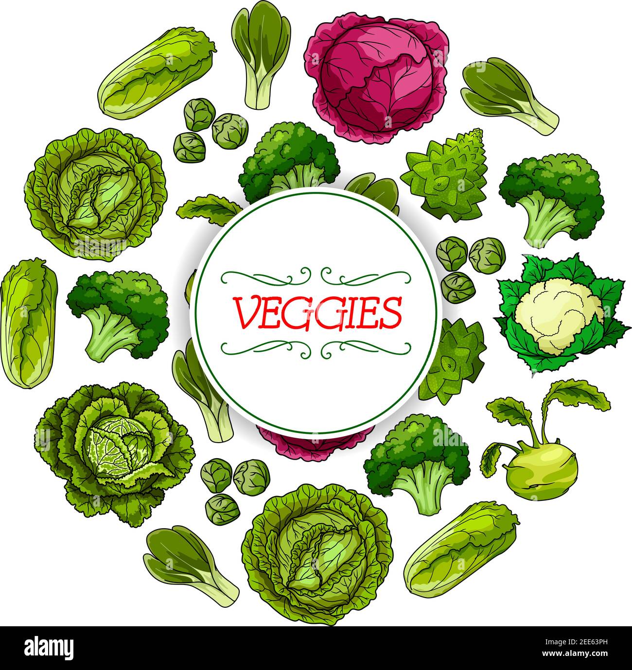 Vegetable round symbol cabbage hi-res stock photography and images - Alamy