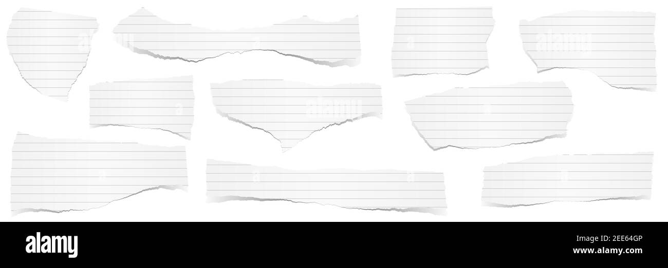 collection of white lined scraps of papers with shadows Stock Vector ...