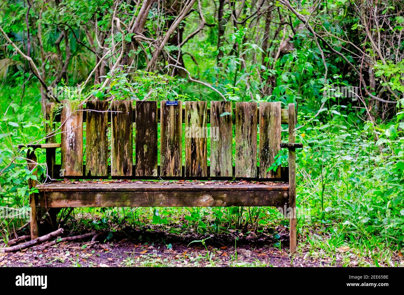 Shell mound hi-res stock photography and images - Alamy