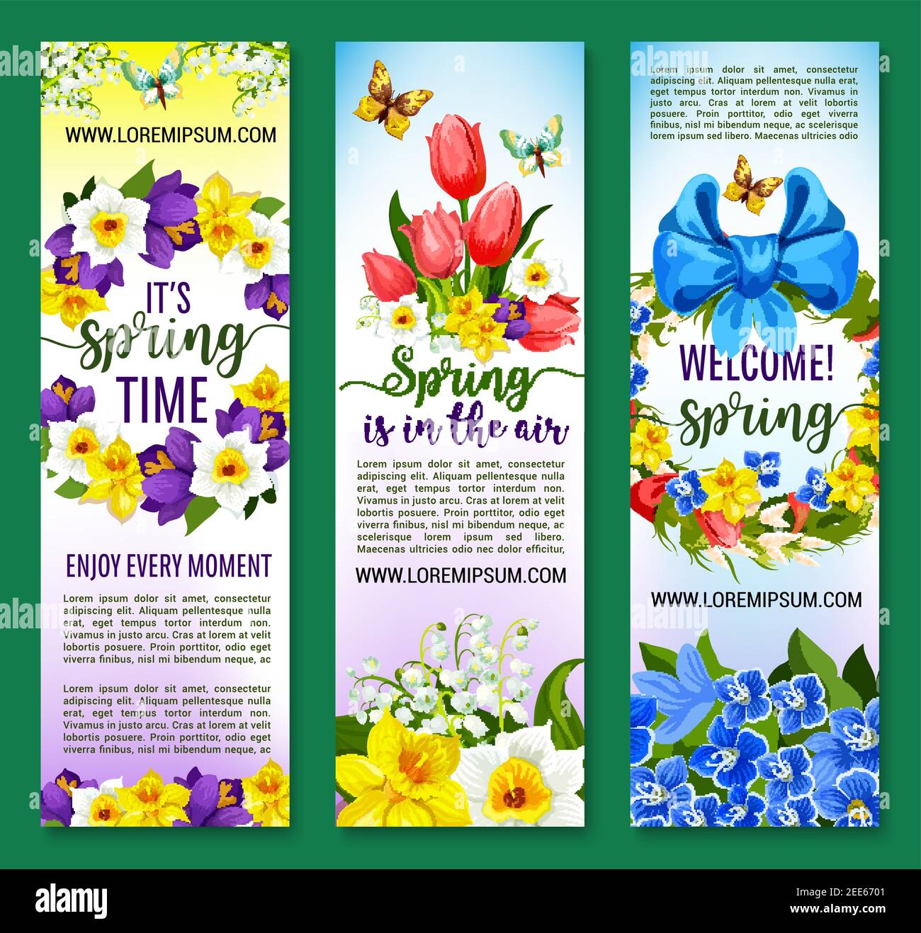 Forget me not plant with flowers in bloom Stock Vector Images - Alamy