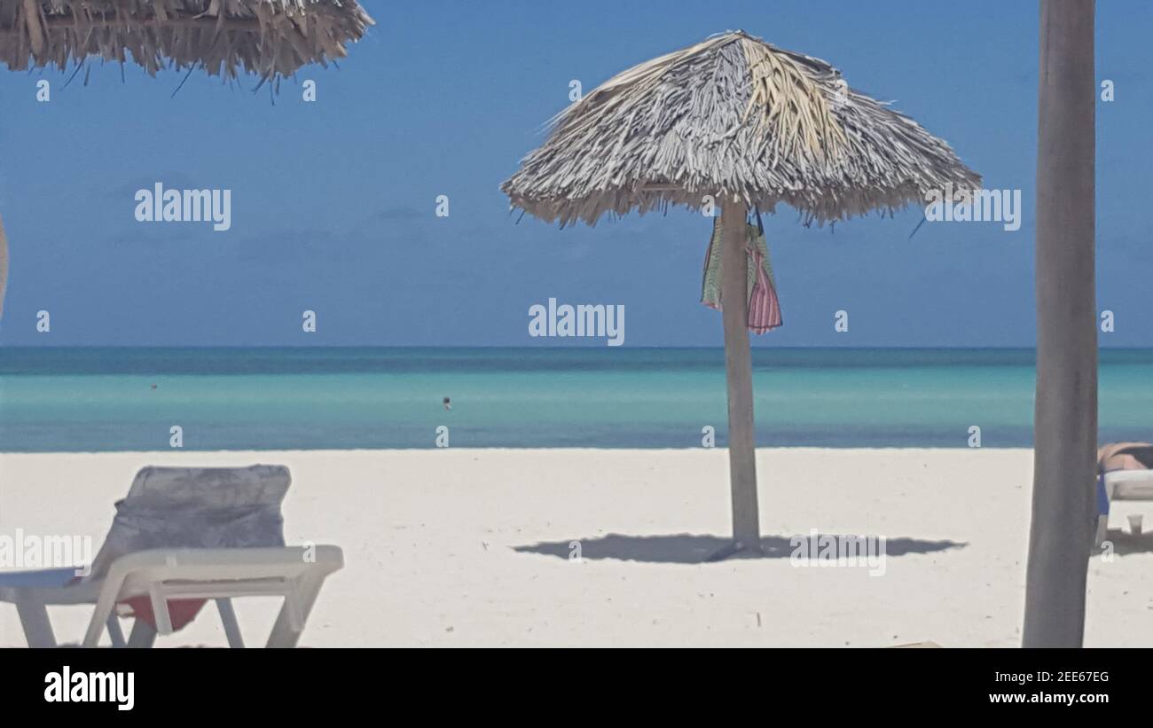 Coco bird hi-res stock photography and images - Alamy