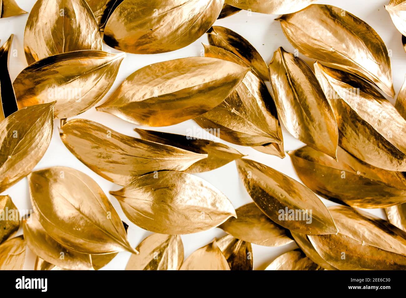 Pattern, texture with gold leaves isolated on white background. flat ...