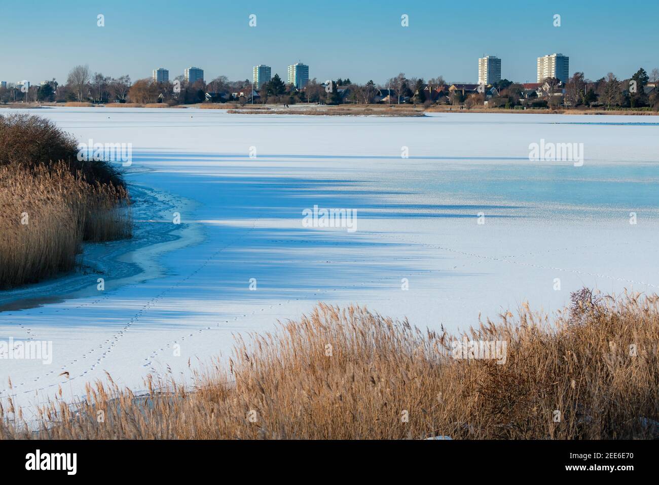 Frozen lake Holmeso in Brondby Strand. In Denmark Stock Photo - Alamy