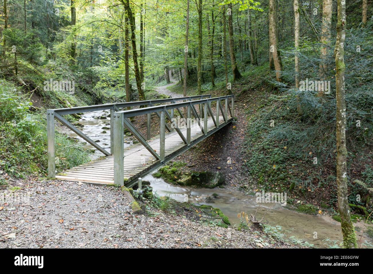 steelwood bridge in deep green forest crossing a river, long exposure ...
