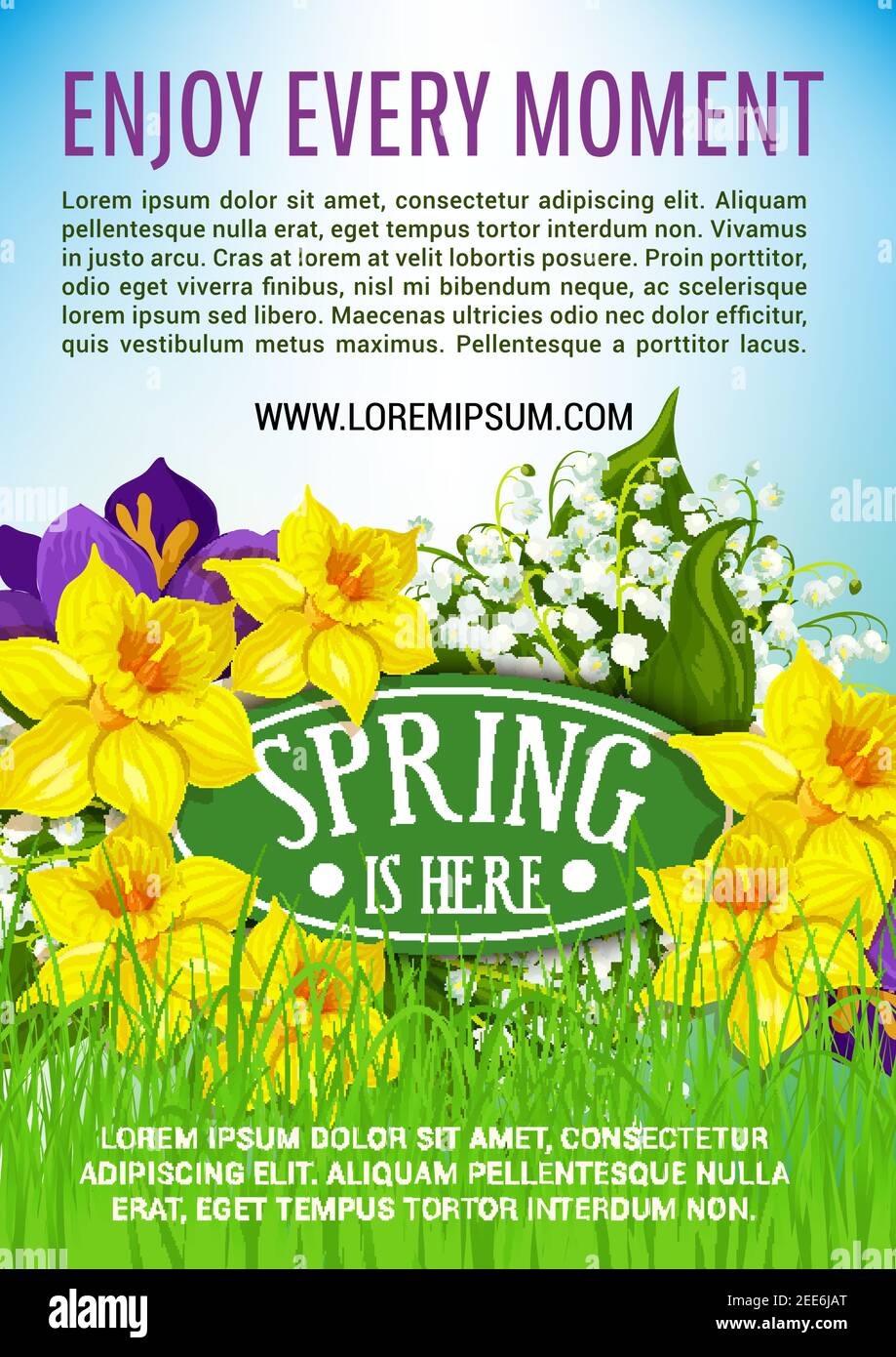 Bunch of yellow daffodils Stock Vector Images - Alamy