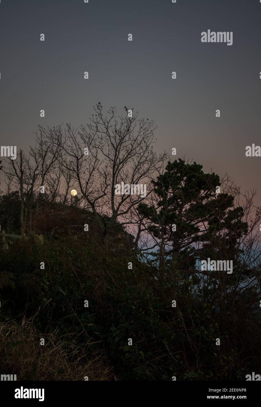 Moonrise over the Big Pinnacle at Pilot Mountain State Park, North ...