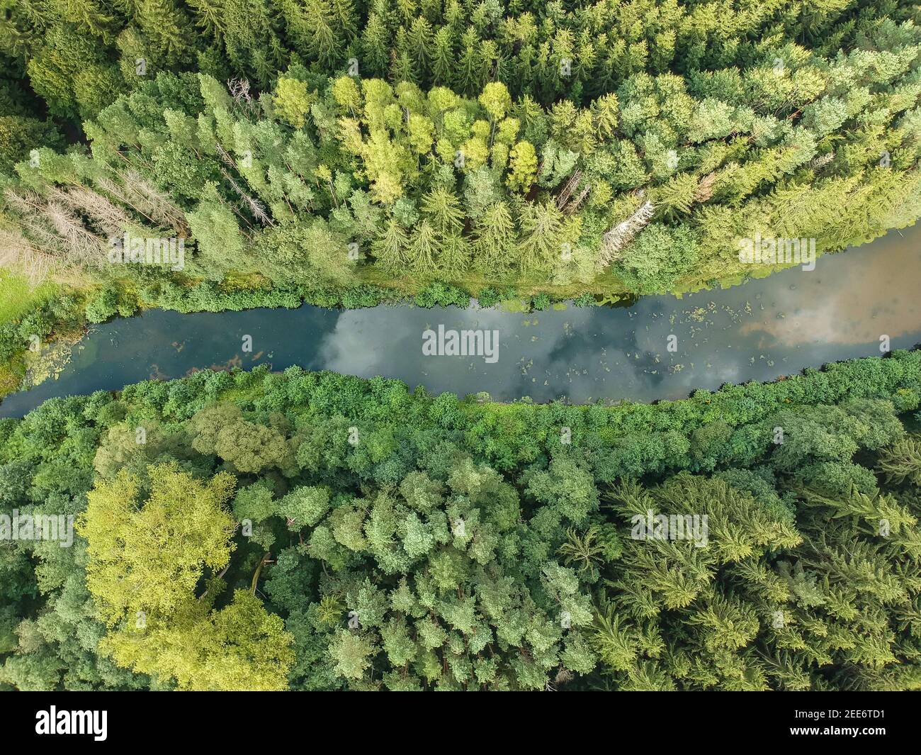 Aerial view on small dam on river Svitava near source of river between ...