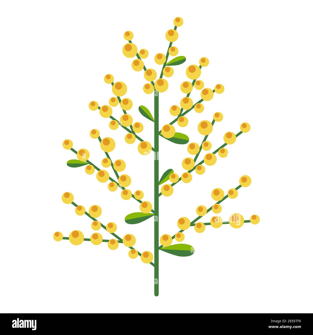 Raspberry berries leaves flowers Stock Vector Images - Alamy