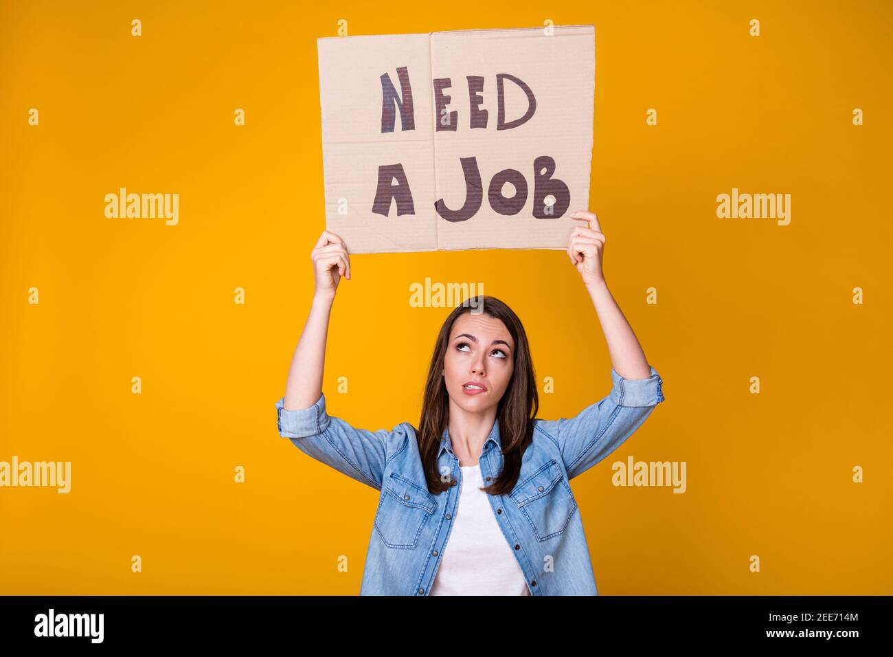 Need a job. Photo of pretty loser business lady carton placard above ...