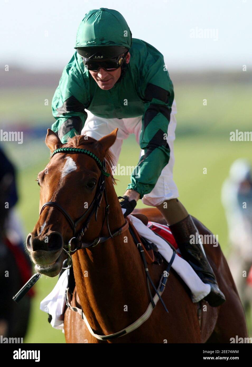 New approach horse hi-res stock photography and images - Alamy