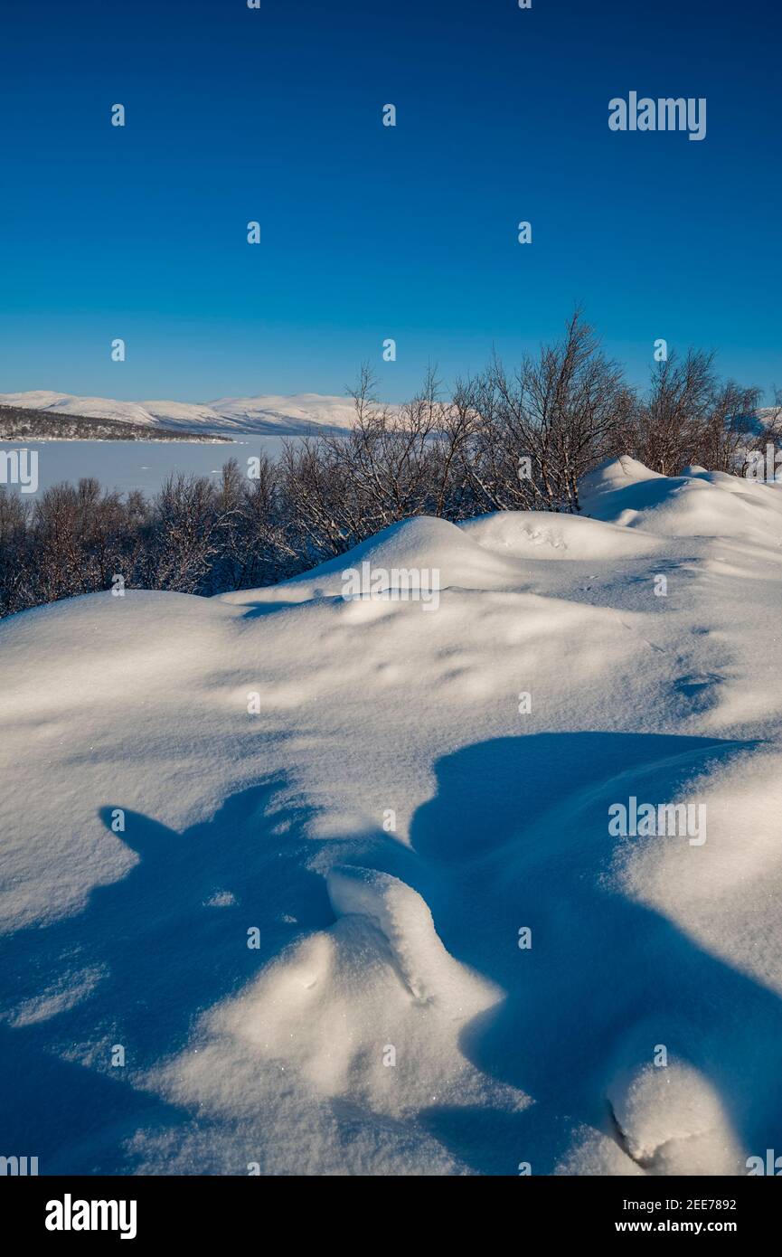 Arctic europe frozen ice scandinavia snow sweden winter hi-res stock ...