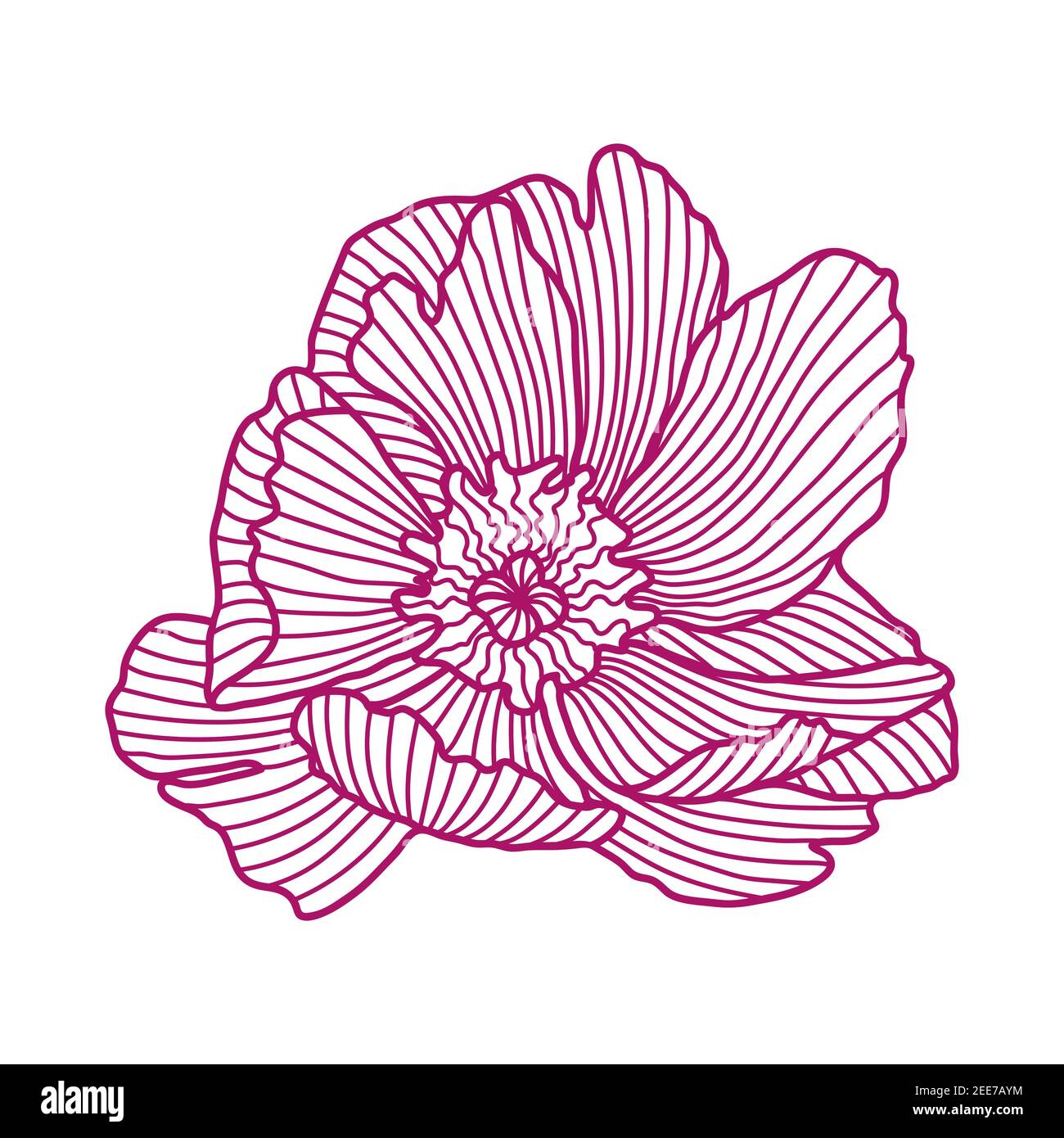Peony meadow Stock Vector Images - Alamy