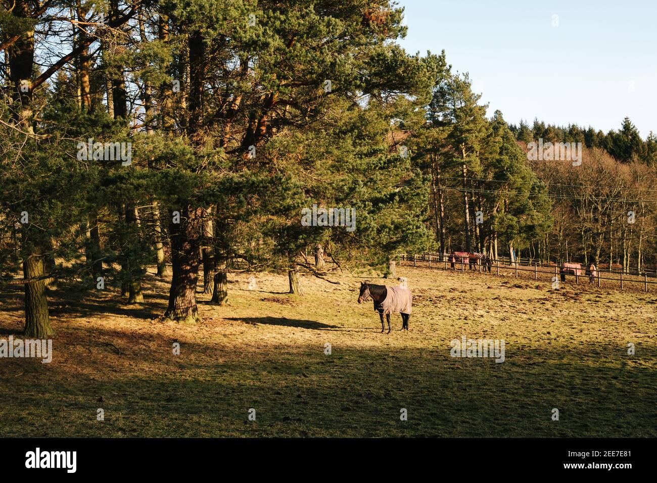 Scottish rural scene hi-res stock photography and images - Alamy