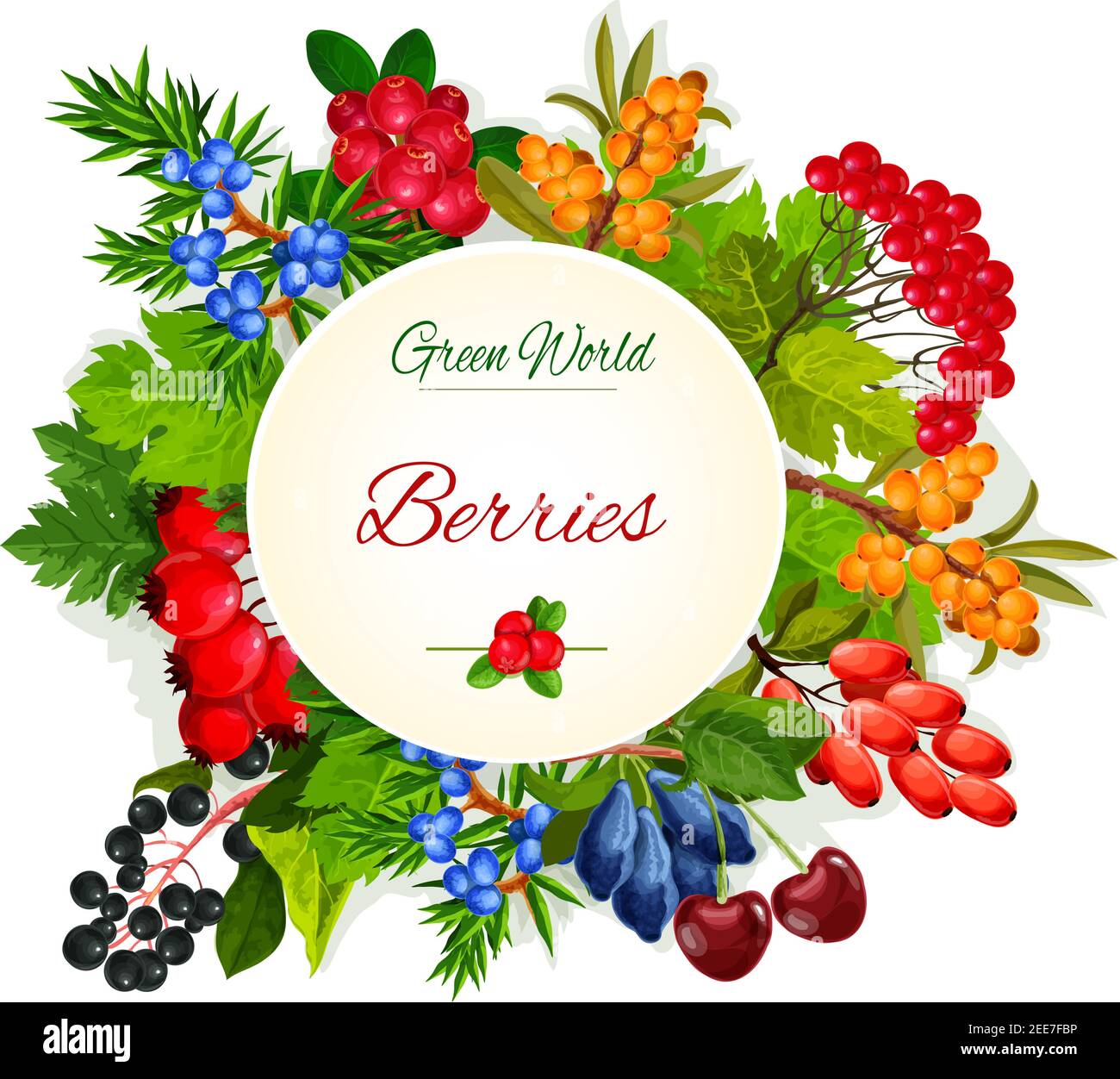 Wild Berries Clip Art