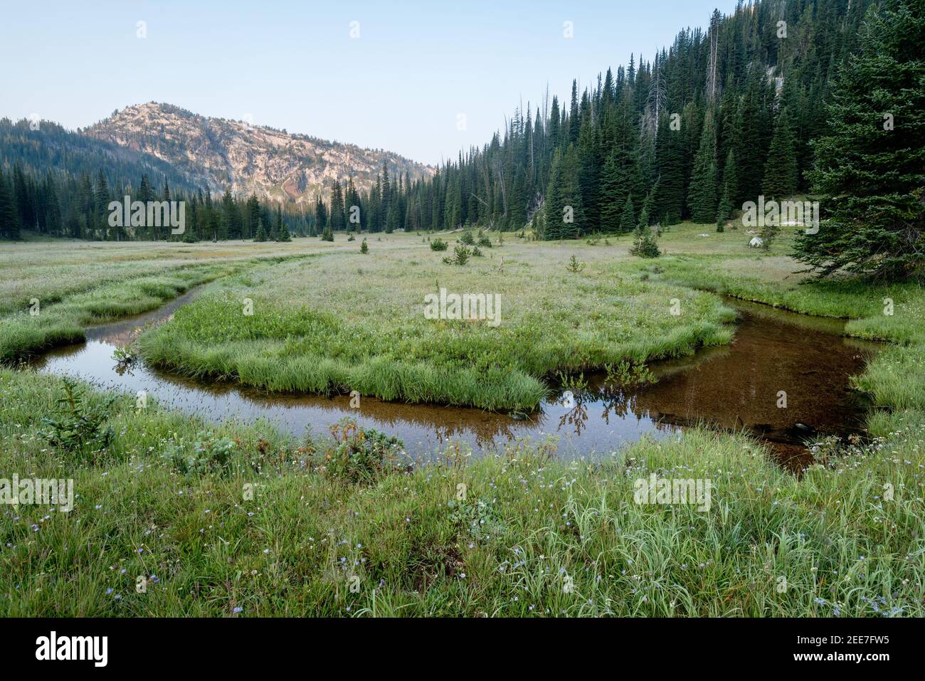 Stream flowing through a meadow in Oregon's Wallowa Mountains Stock ...