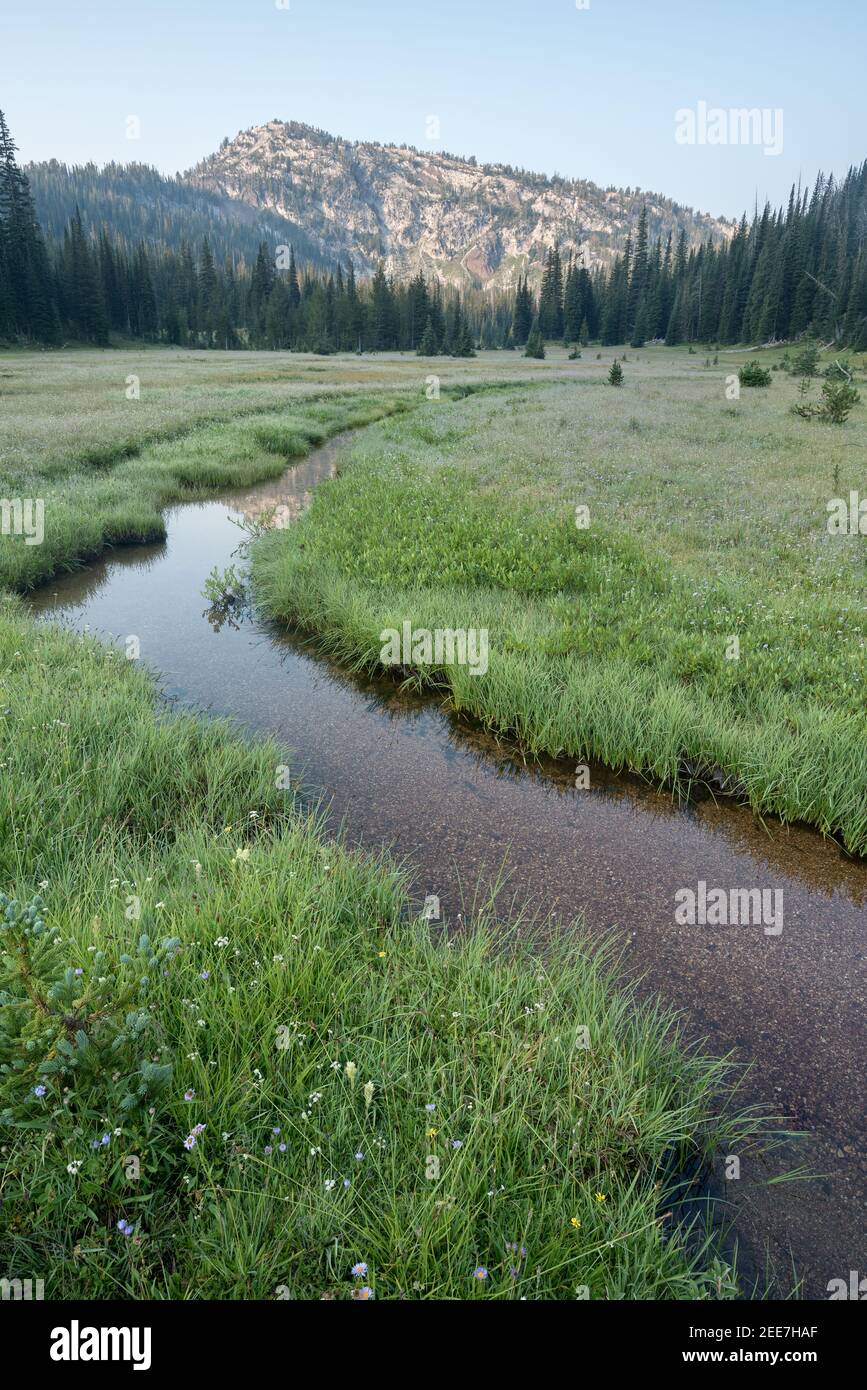 Stream flowing through mountains hi-res stock photography and images ...