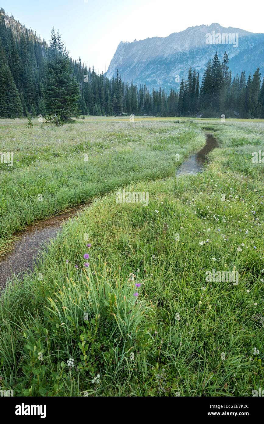 Stream flowing through mountains hi-res stock photography and images ...