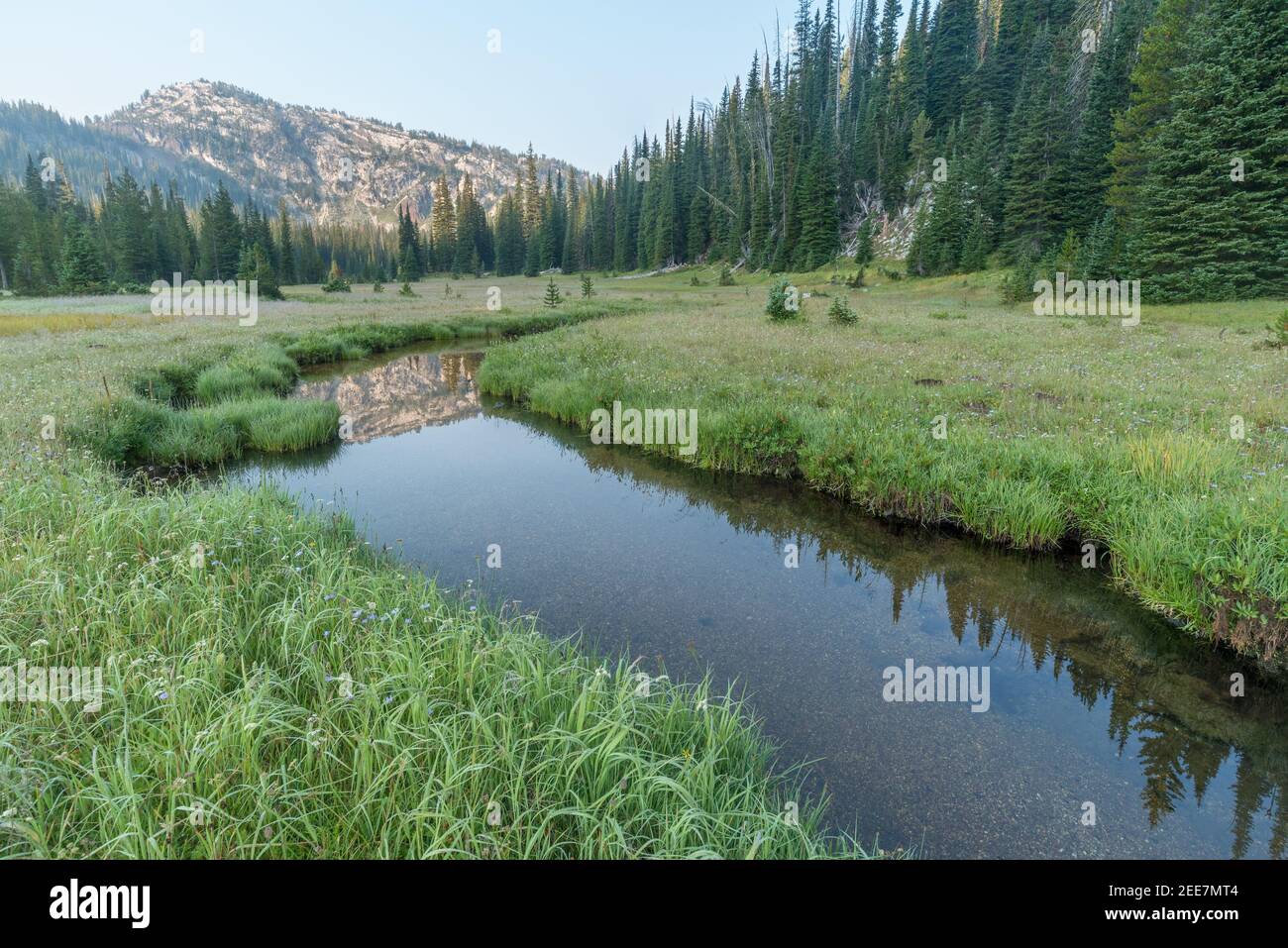 Stream flowing through a meadow in Oregon's Wallowa Mountains Stock ...