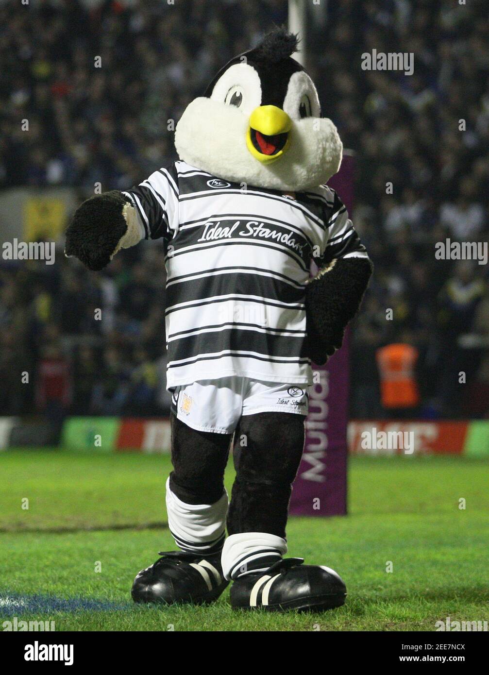 Warrington Wolves Mascot High Resolution Stock Photography and Images ...