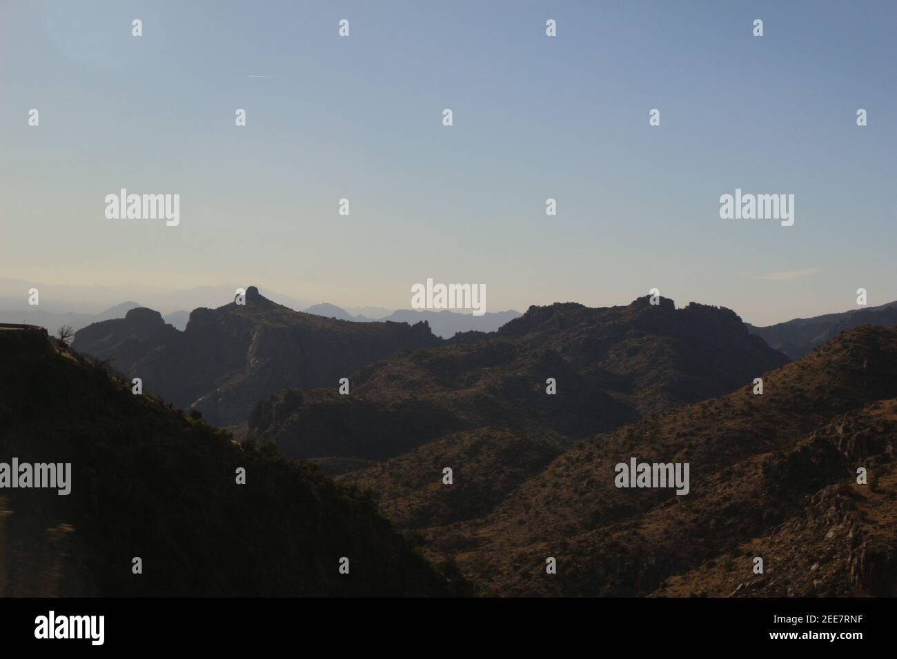 Desert forest hi-res stock photography and images - Alamy