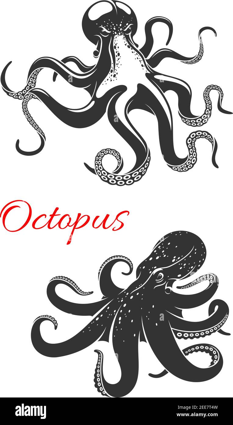 Octopus isolated icon set. Dangerous octopus marine animal with curled ...