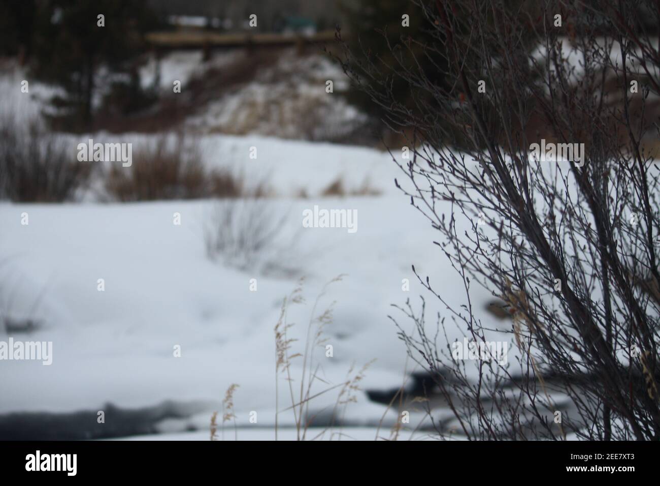 Colorado scenic landscape hi-res stock photography and images - Alamy