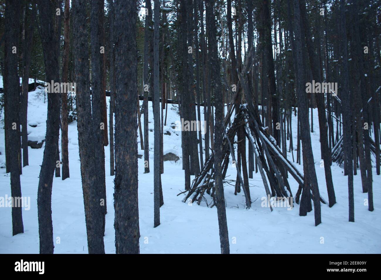 tee pee of sticks Stock Photo - Alamy
