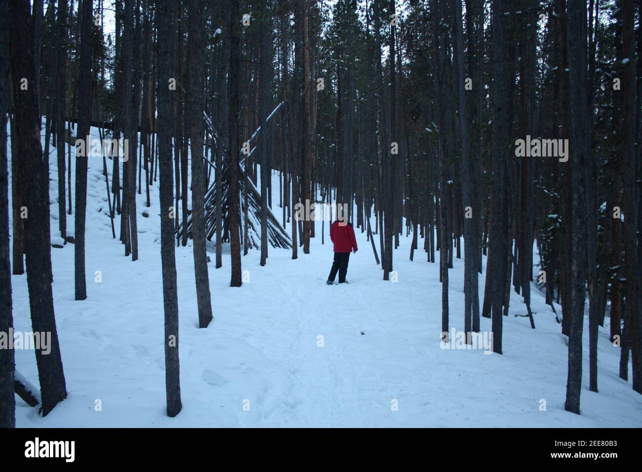tee pee of sticks Stock Photo - Alamy