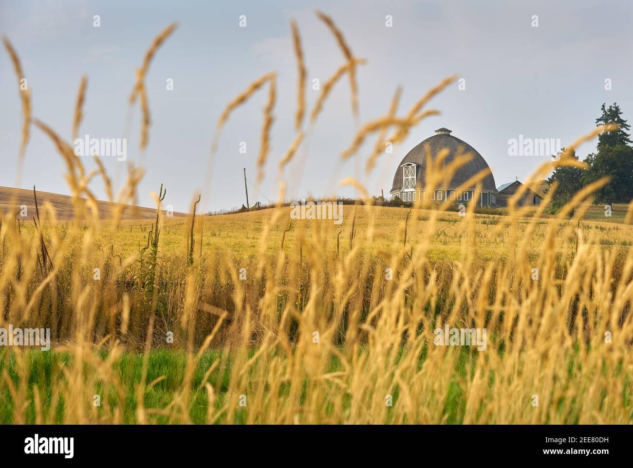 Rustic Round Barn in the Palouse. A round barn in Washington State, USA ...