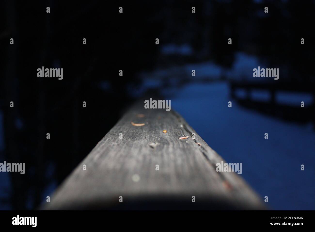Dusk wood hi-res stock photography and images - Alamy