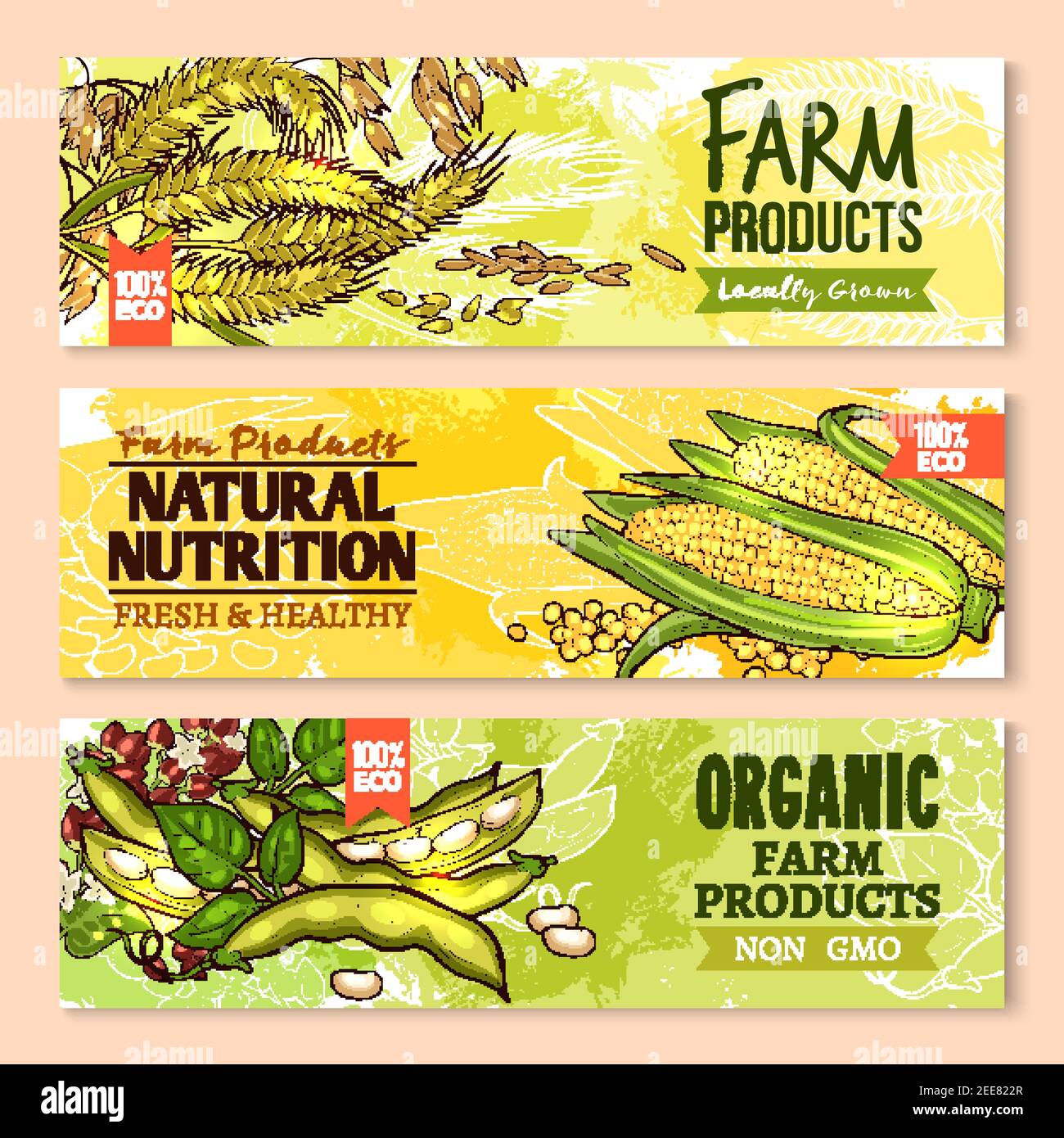 Rice seed grown Stock Vector Images - Alamy