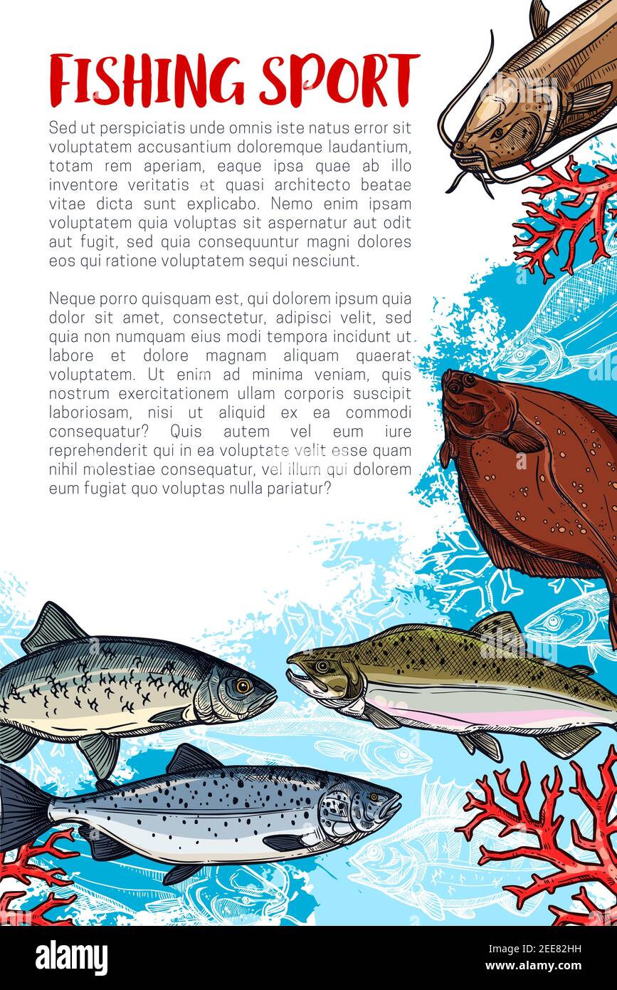 Fishing sport sketch poster with sea fish. Salmon, tuna, sheatfish ...