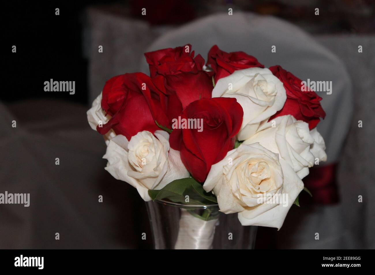 Red roses flowers with hi-res stock photography and images - Alamy