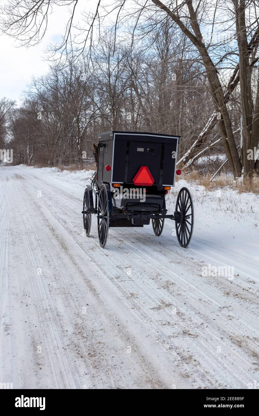 Amish horse horses buggy hi-res stock photography and images - Alamy